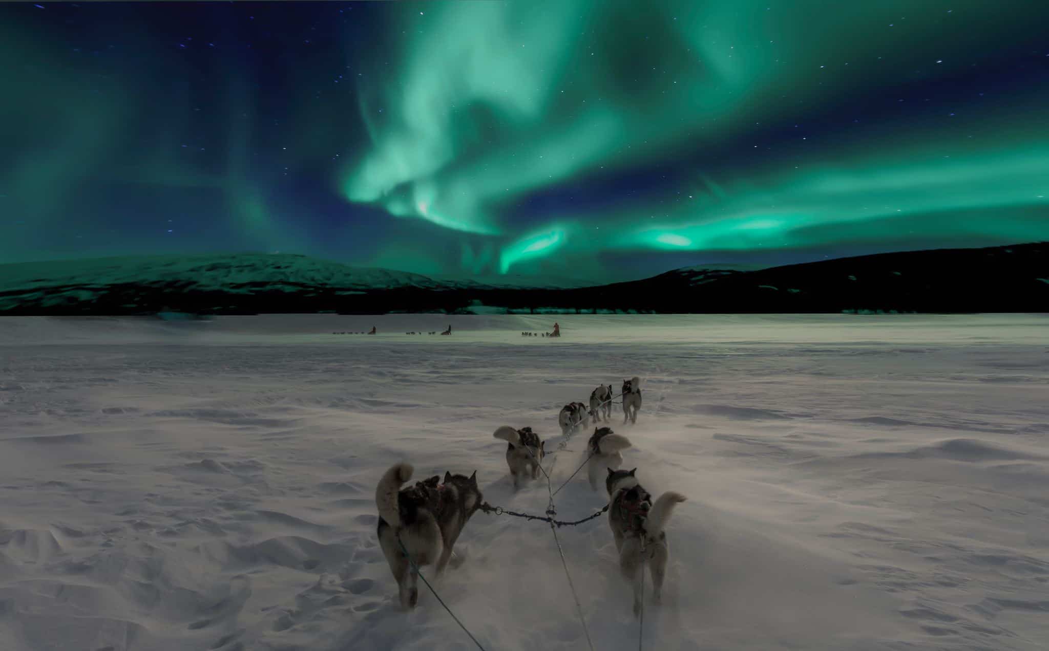 All about traditional Husky Tours in Northern Sweden - Mr Nordic