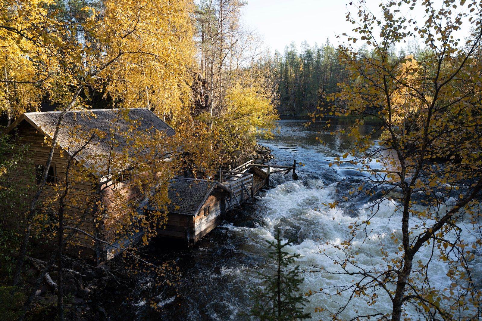 Explore Finland's Stunning National Parks: Your Ultimate Guide - Mr Nordic