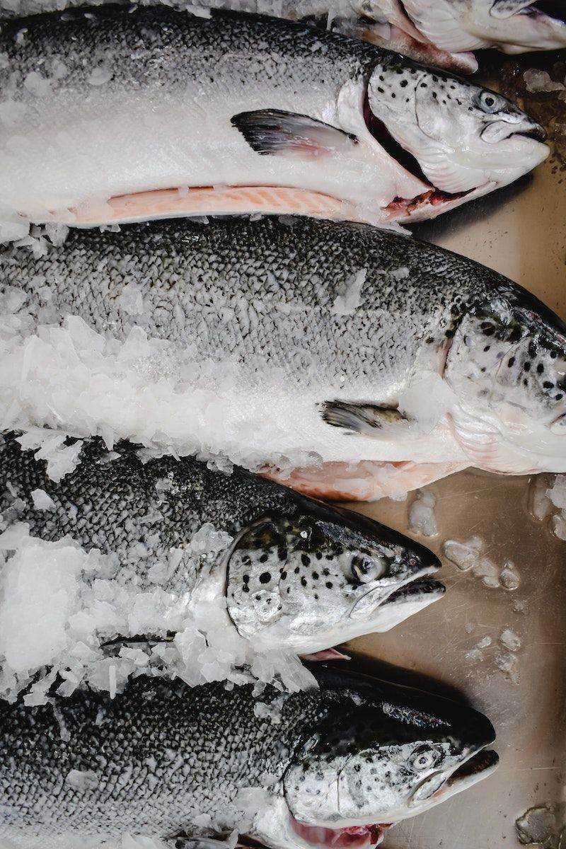 Guide for Seafood Enthusiasts in Norway: Exploring Salmon to Cod - Mr ...